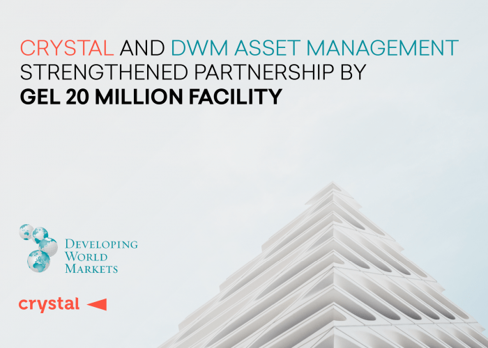 MFO Crystal - Crystal Investor Relations - ir.crystal.ge